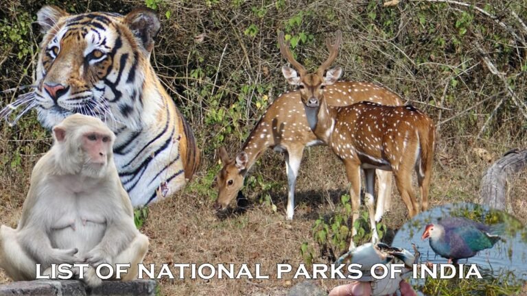 List of National Parks of India – Aryan Go