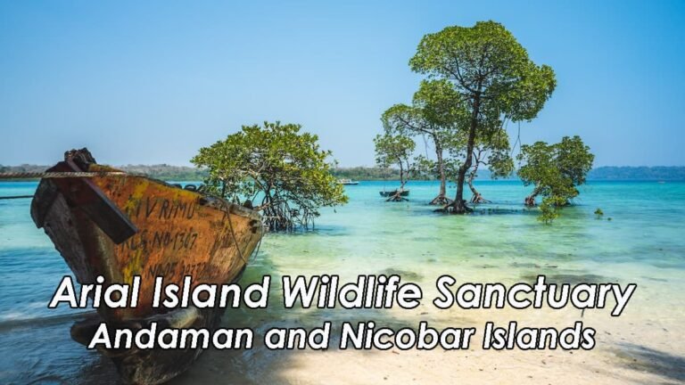 Arial Island Wildlife Sanctuary Andaman and Nicobar Islands – Aryan Go