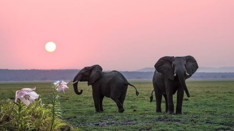 Shirui National Park – Aryan Go